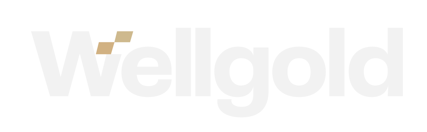 Wellgold DMCC